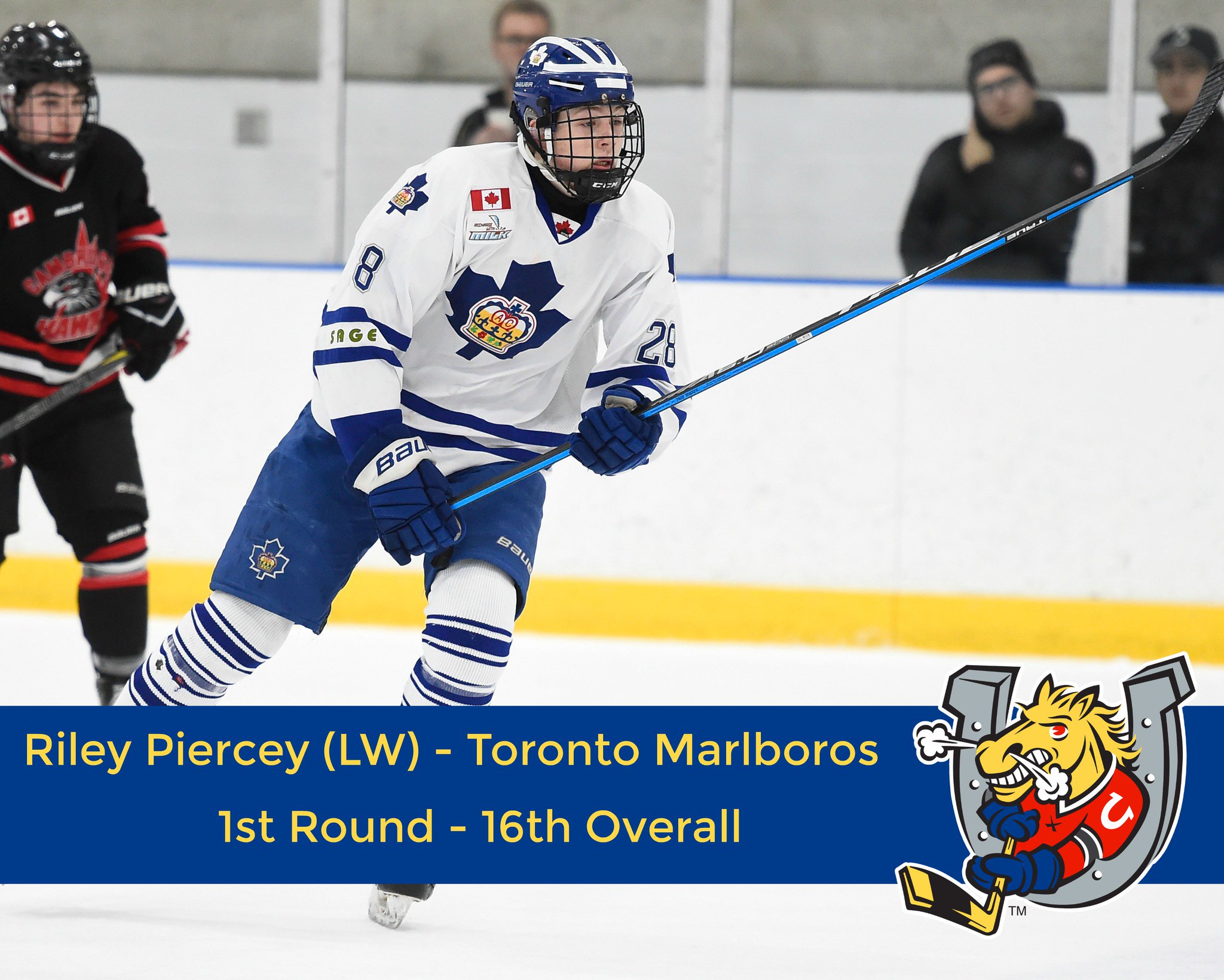 Barrie Colts on Twitter: Barrie Colts on Twitter: