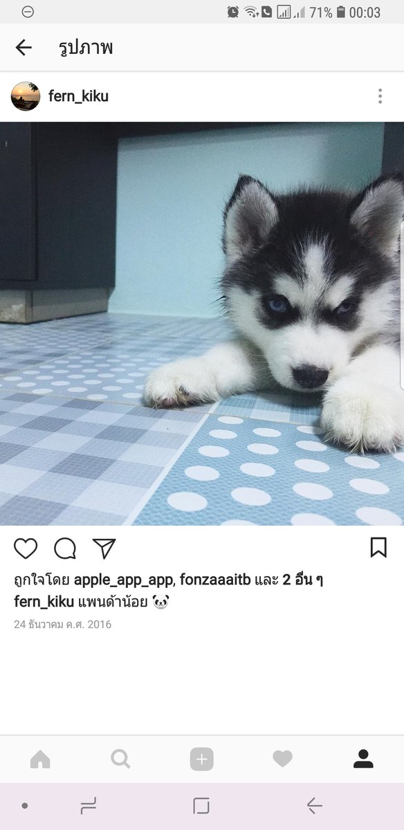 Fern kiku (@Fern_Pimpilai) | Twitter