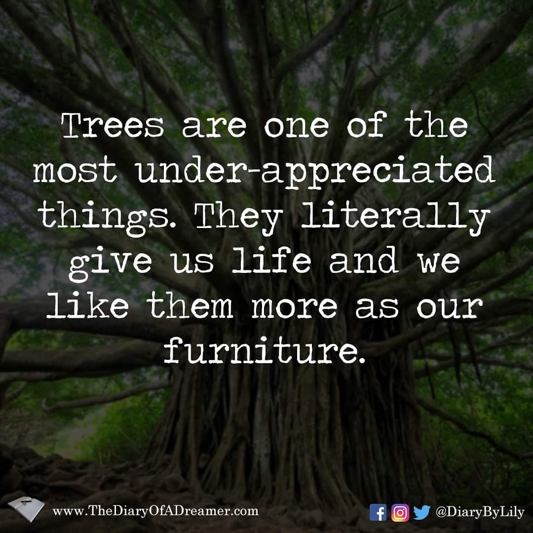 Famous Deforestation Quotes