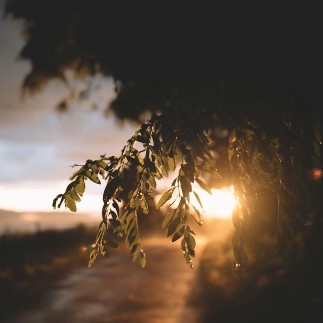 maher rasheed (@maherrasheed8) | Twitter