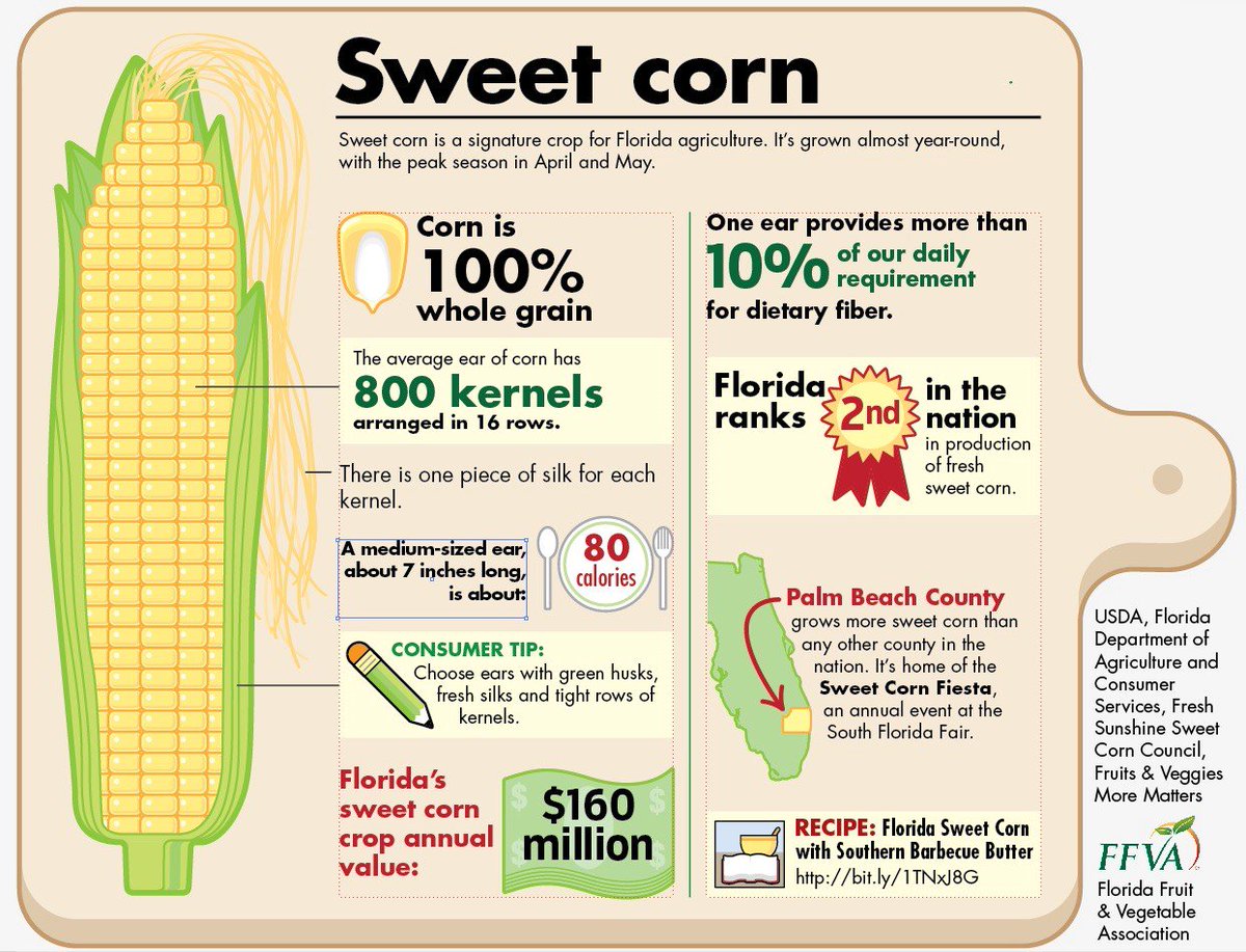 Corn Nutrition Facts And Health Benefits
