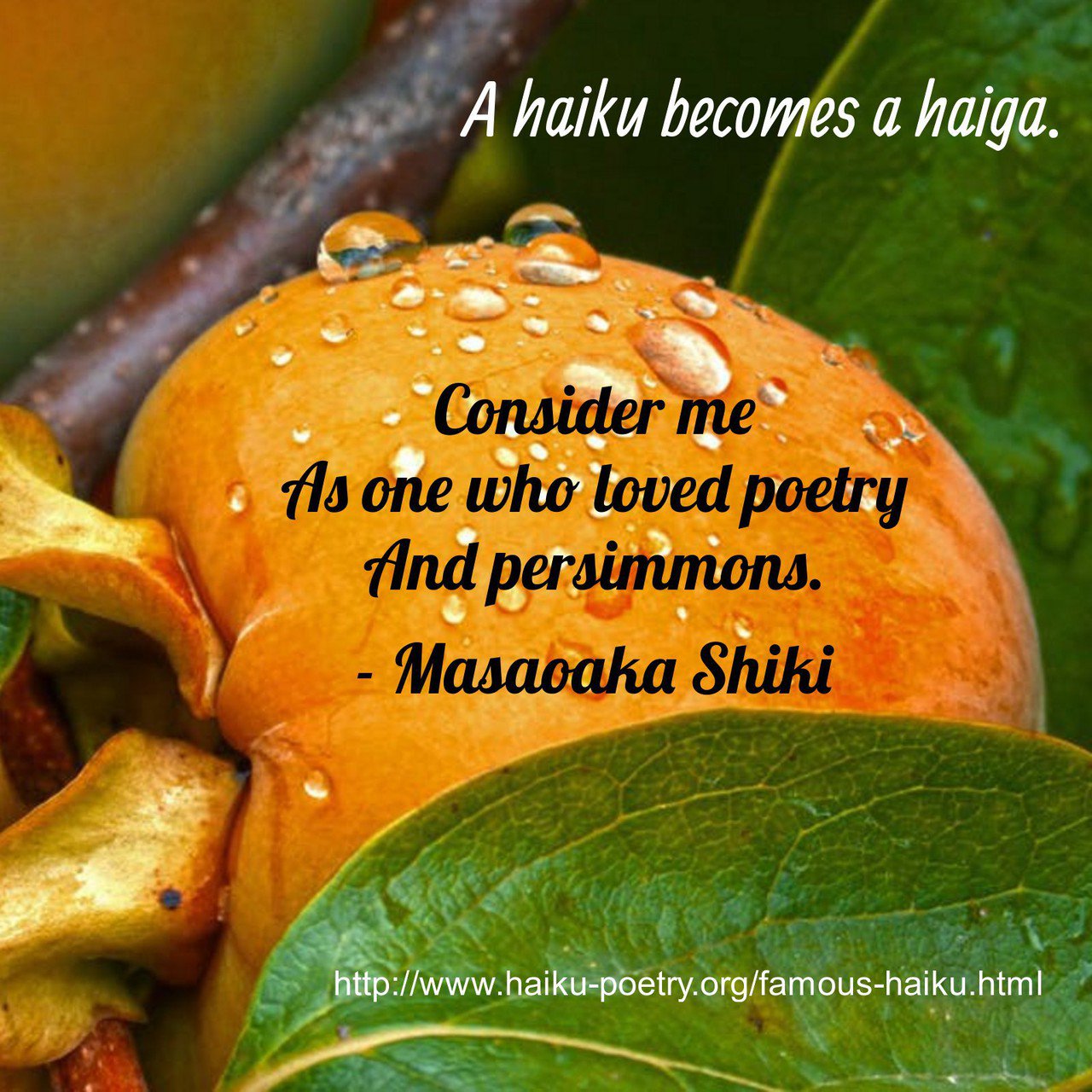 Haiku Poems About Orange Four Haiku Four Haiku Poem By Ram Krishna