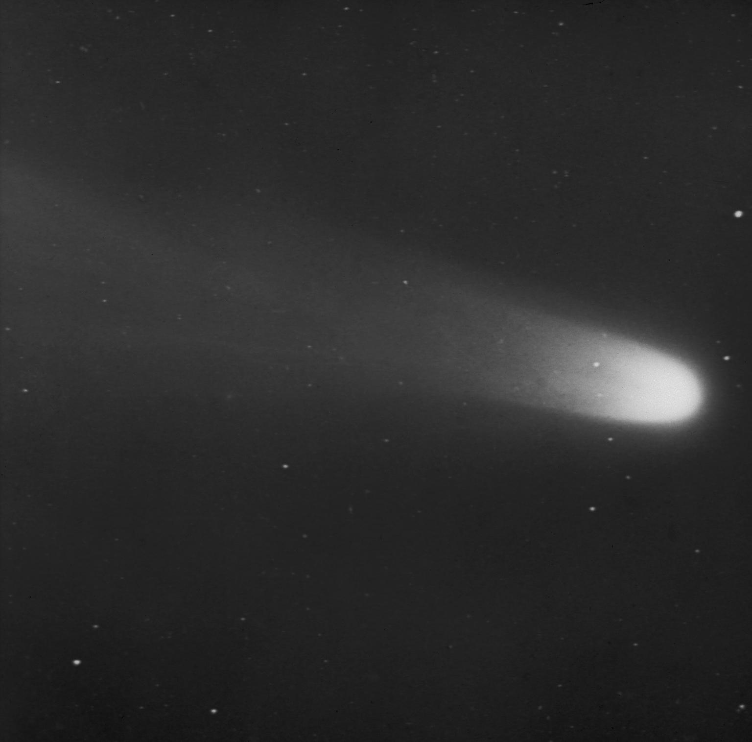 Halleys Comet 1910 Appearance