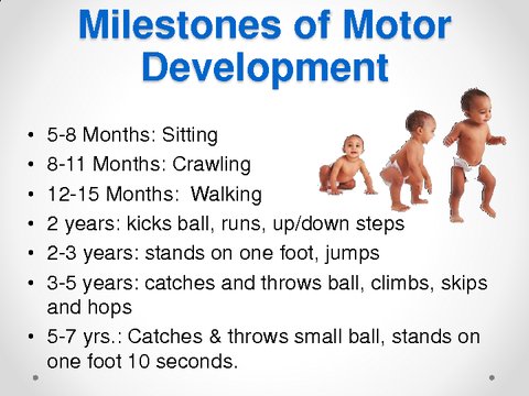 A$ap Developmental Milestones