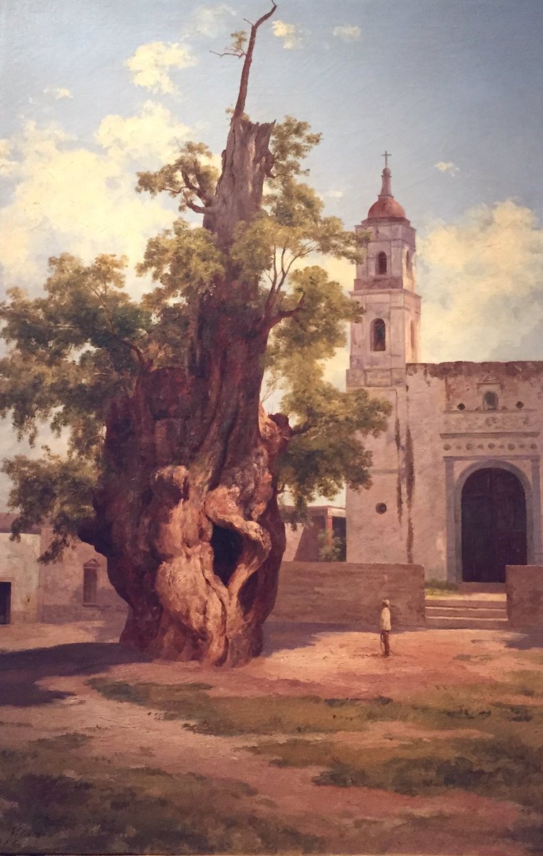 El árbol de la noche triste pintado por josé maría velasco a finales ...