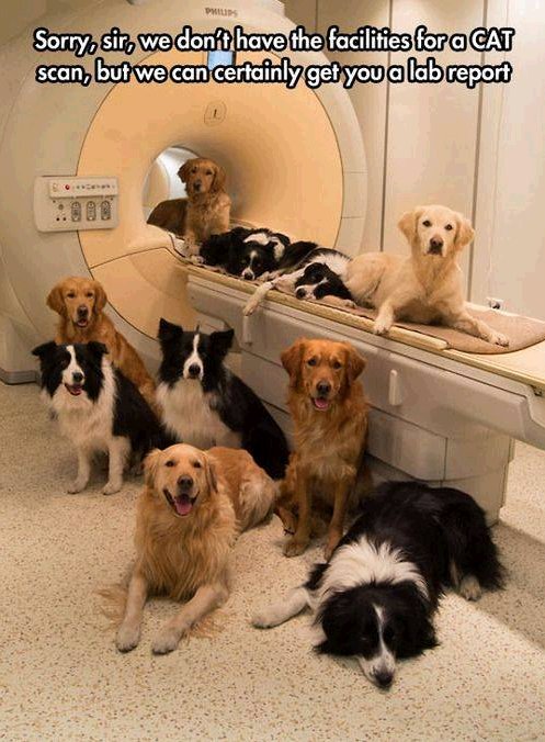 Funny Radiology Jokes