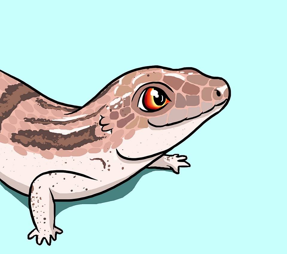 Blue Tongue Lizard Cartoon Clipart