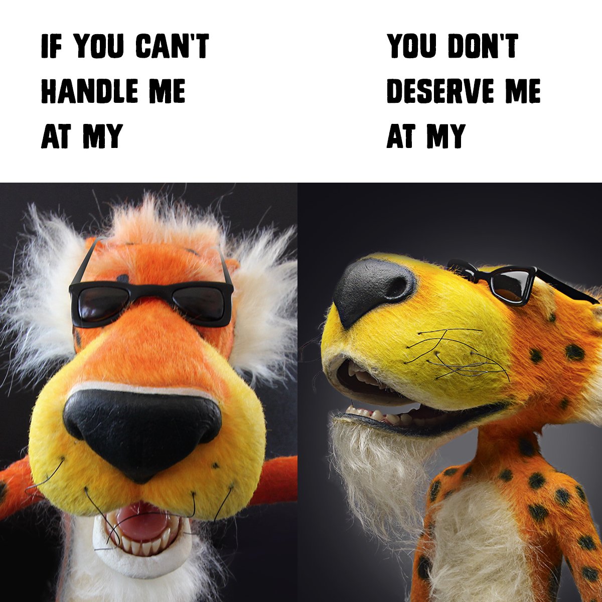 93 best Chester Cheetah images on Pholder | Chester Cheetah, Funkopop ...