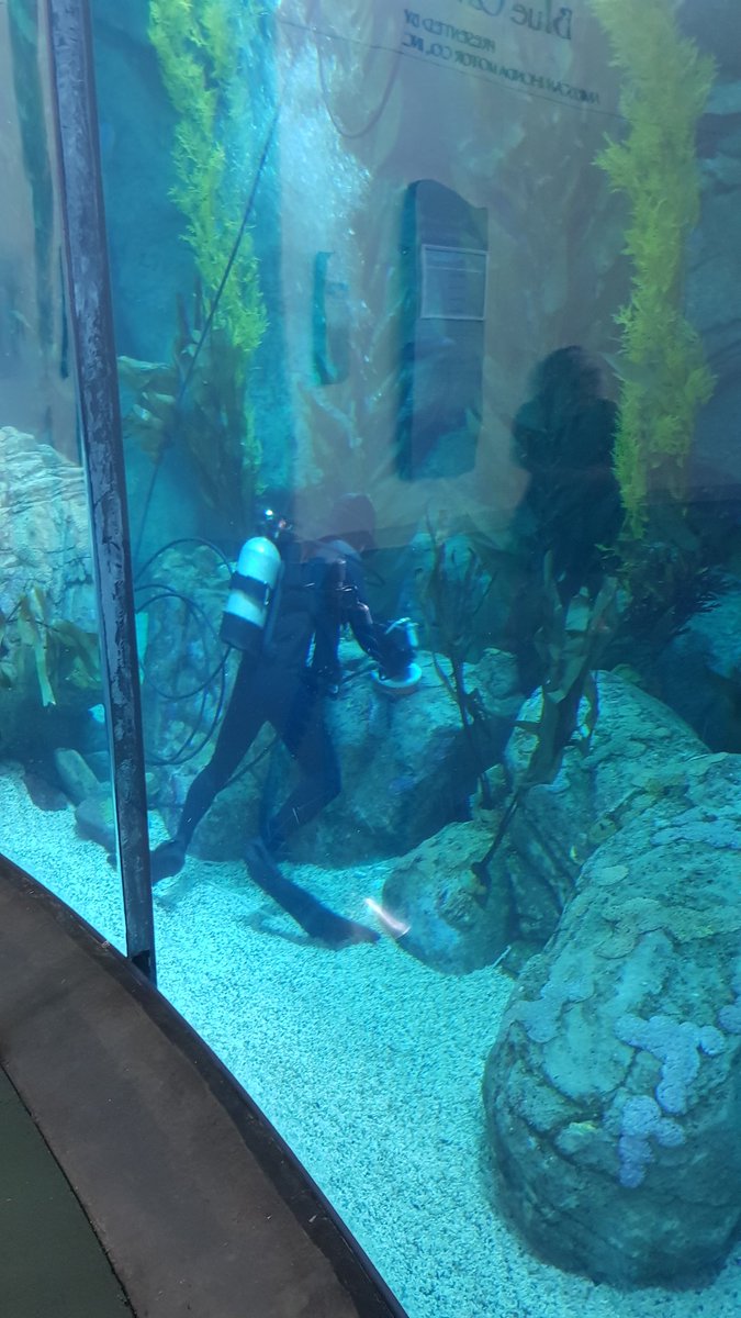 Mermaid Man Real Life