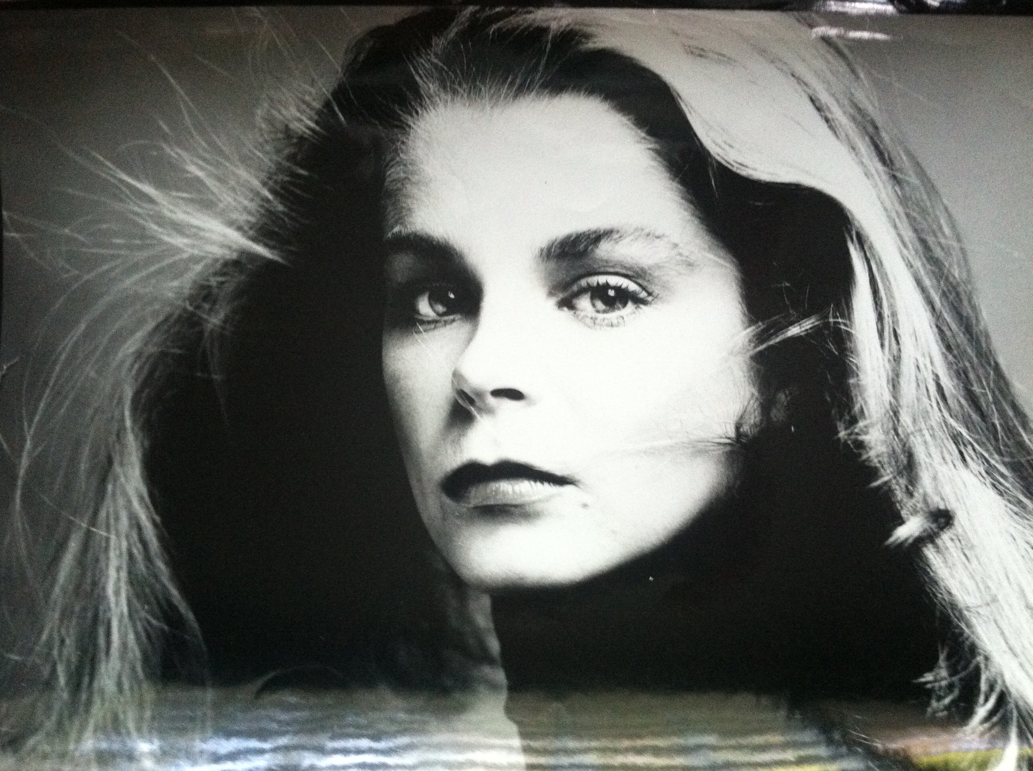 TW Pornstars - Kristine DeBell She/her. Twitter. #tbt Los Angeles ...