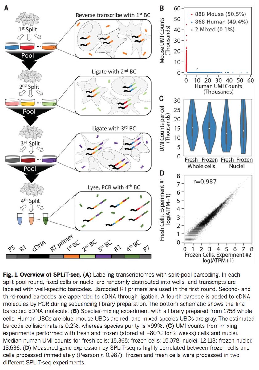 Xun Chen (@xunchen85) | Twitter