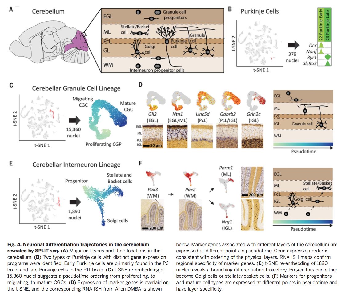 Xun Chen (@xunchen85) | Twitter