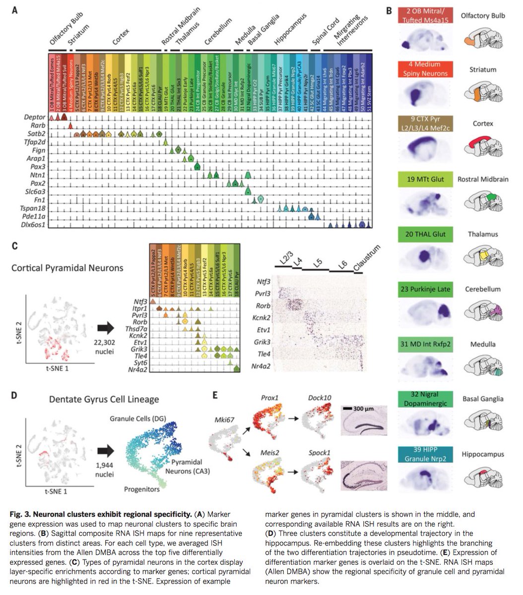 Xun Chen (@xunchen85) | Twitter