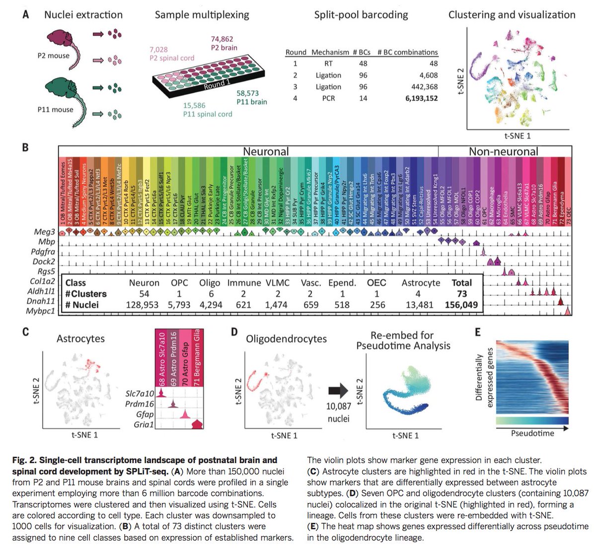 Xun Chen (@xunchen85) | Twitter