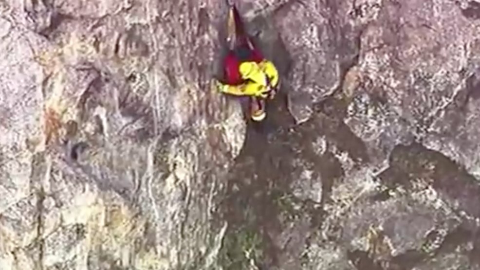 Van goes off California cliff, man walks away from wreckage (Photo ...