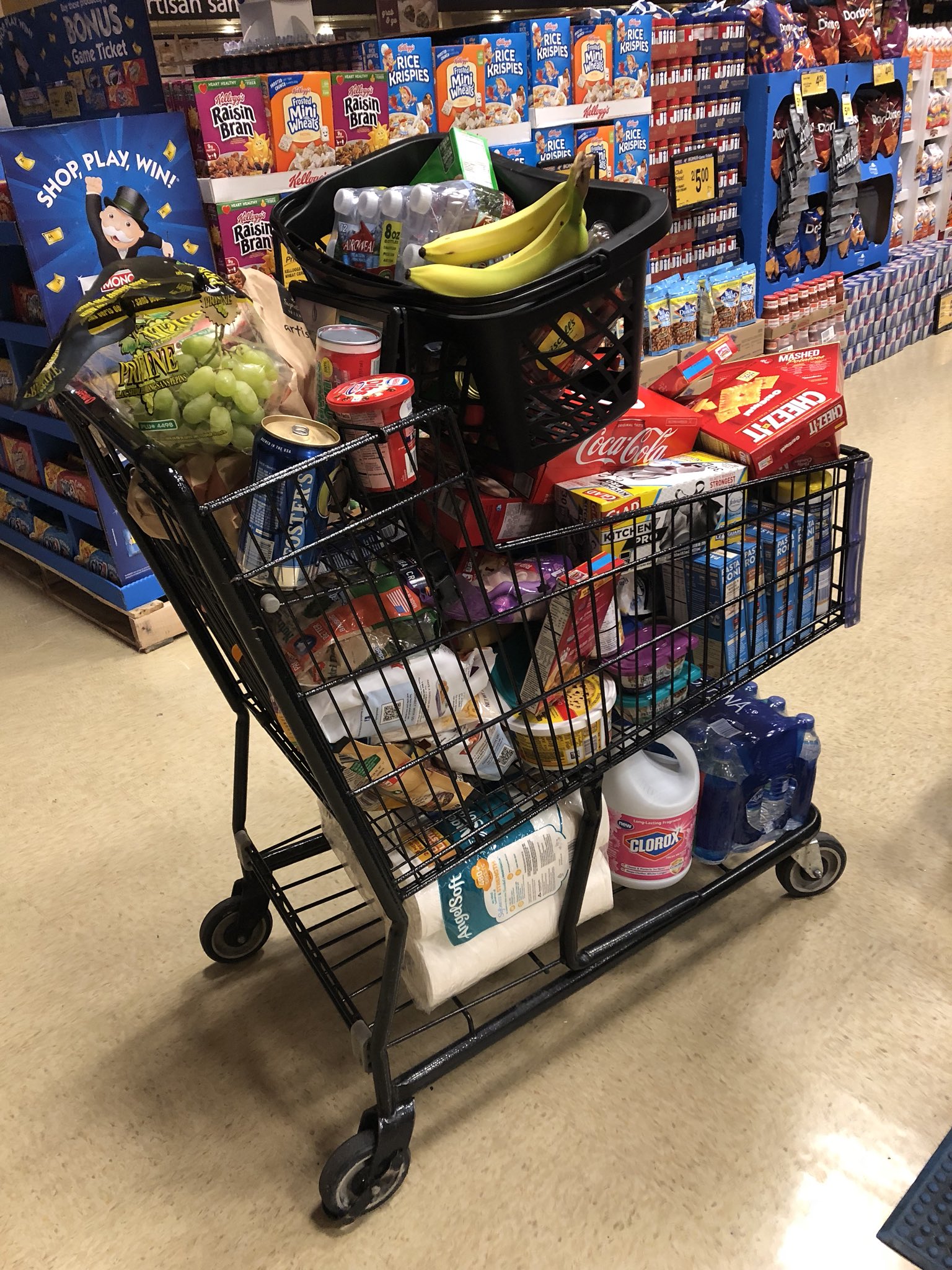 Overflowing Grocery Cart