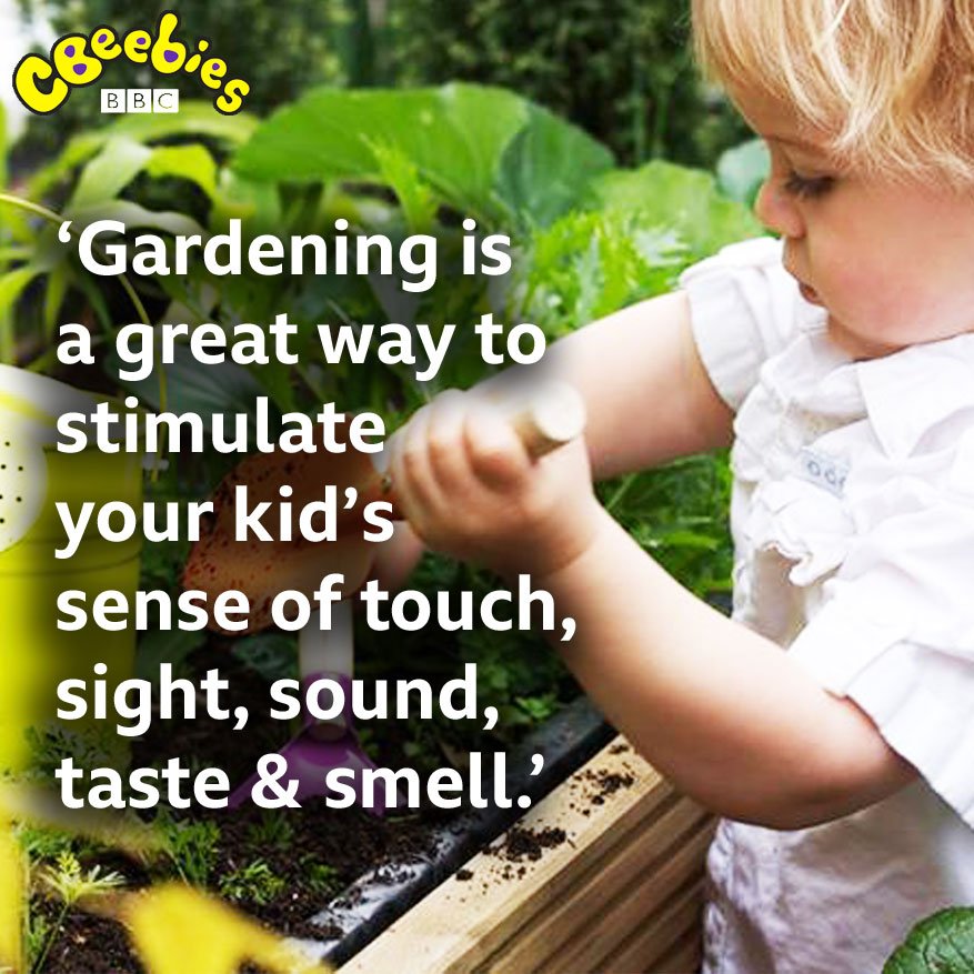 CBeebies: Join CBeebies for Space Week 🙌 NEW Friday! 🤩 Michael Palin'...