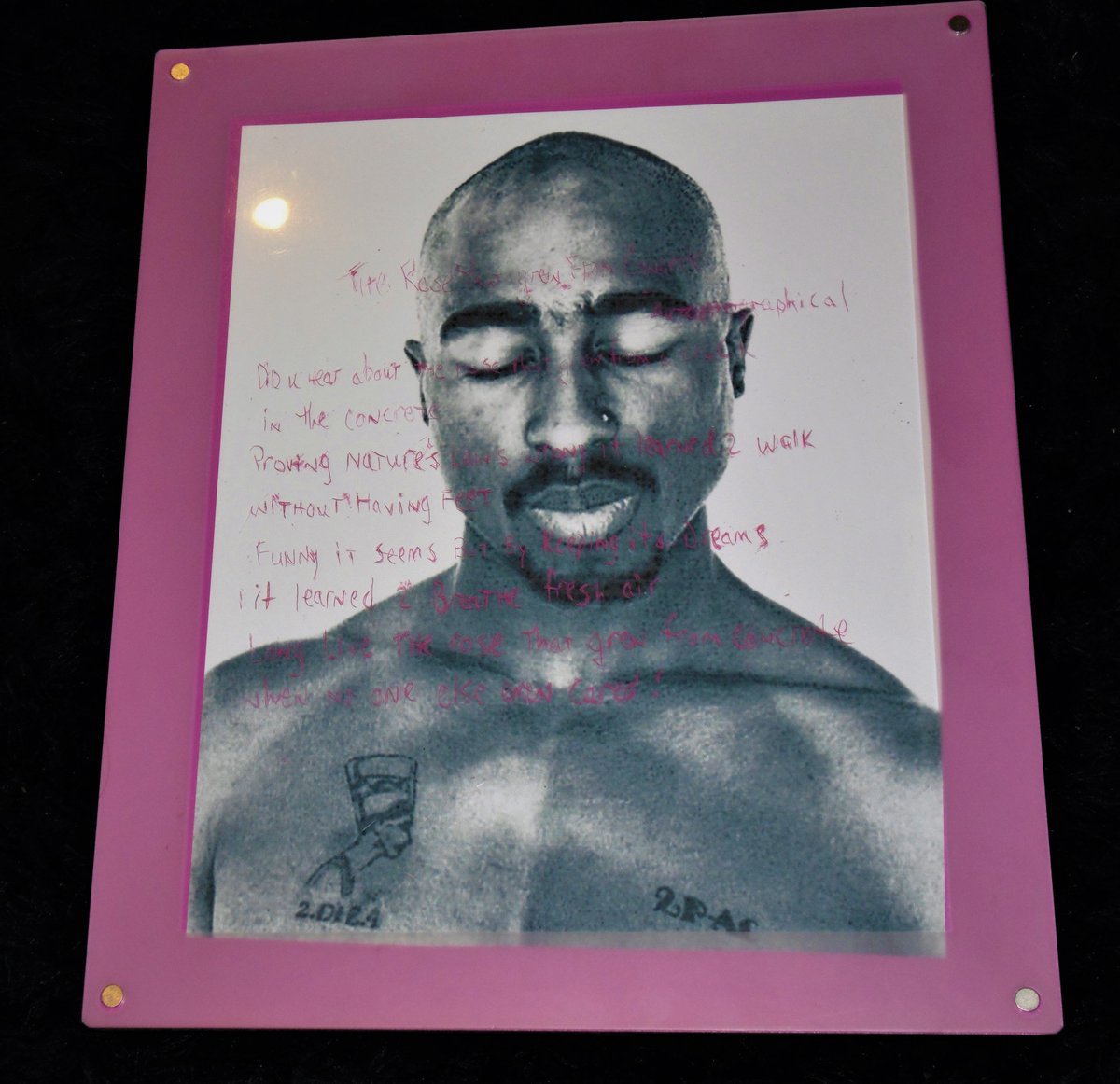 Online shop designs : r/Tupac