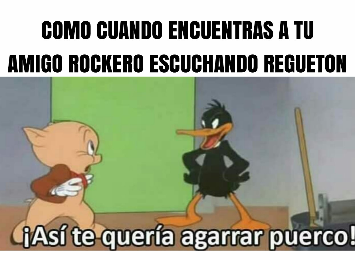 Memes De Rockero