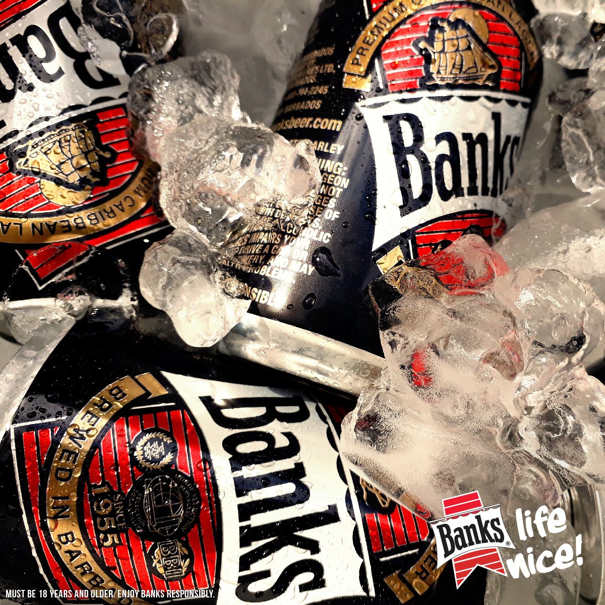 Banks Beer Logo