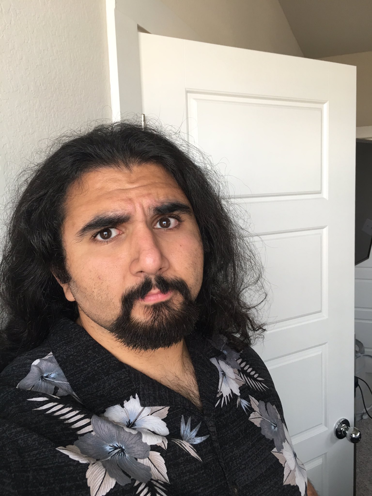 Esfand Short Hair - 2024 HairStyles Ideas