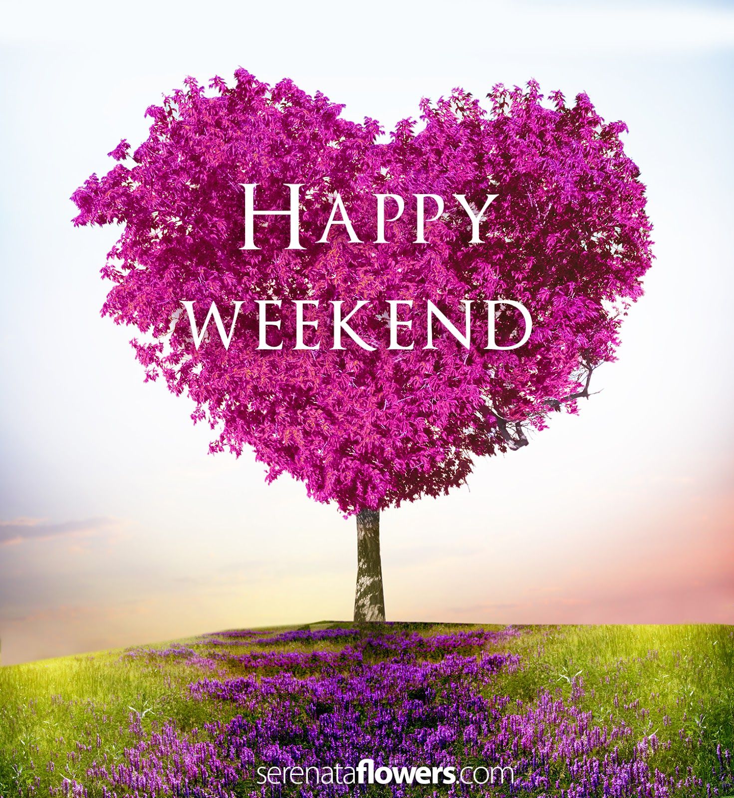Happy Weekend Flowers