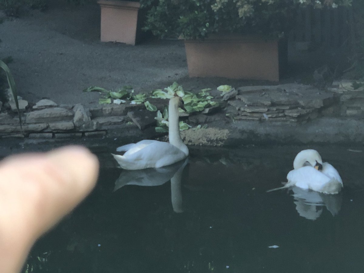 19 best Twitter @peterw_1974 images on Pholder | The only “buzz” I’m on ...