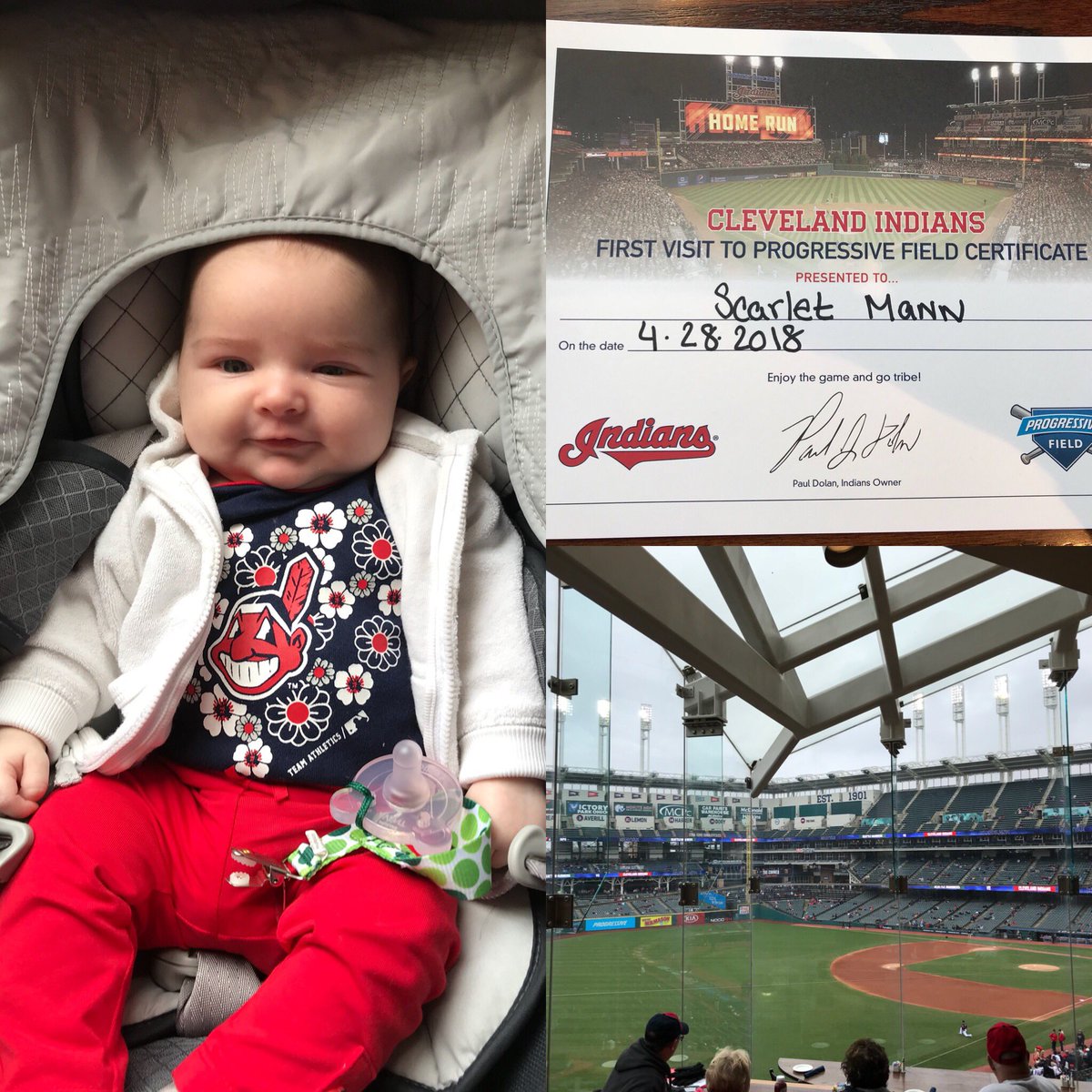 Kyle Mann (@K17MANN) | Twitter