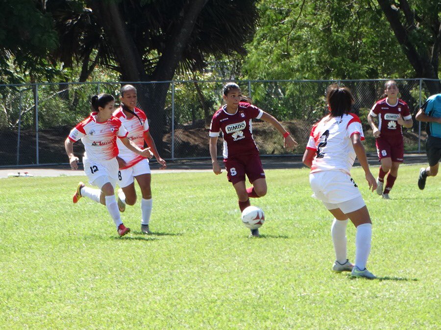 Codea Alajuela : Últimas noticias y actualidad en vivo - Scoopnest