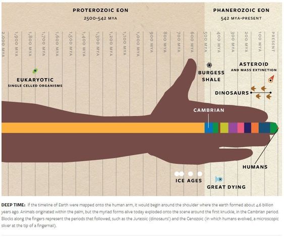 Earth History Timeline Scale