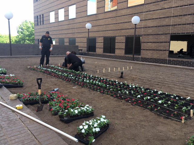 Dallas County | Jail Roster Search