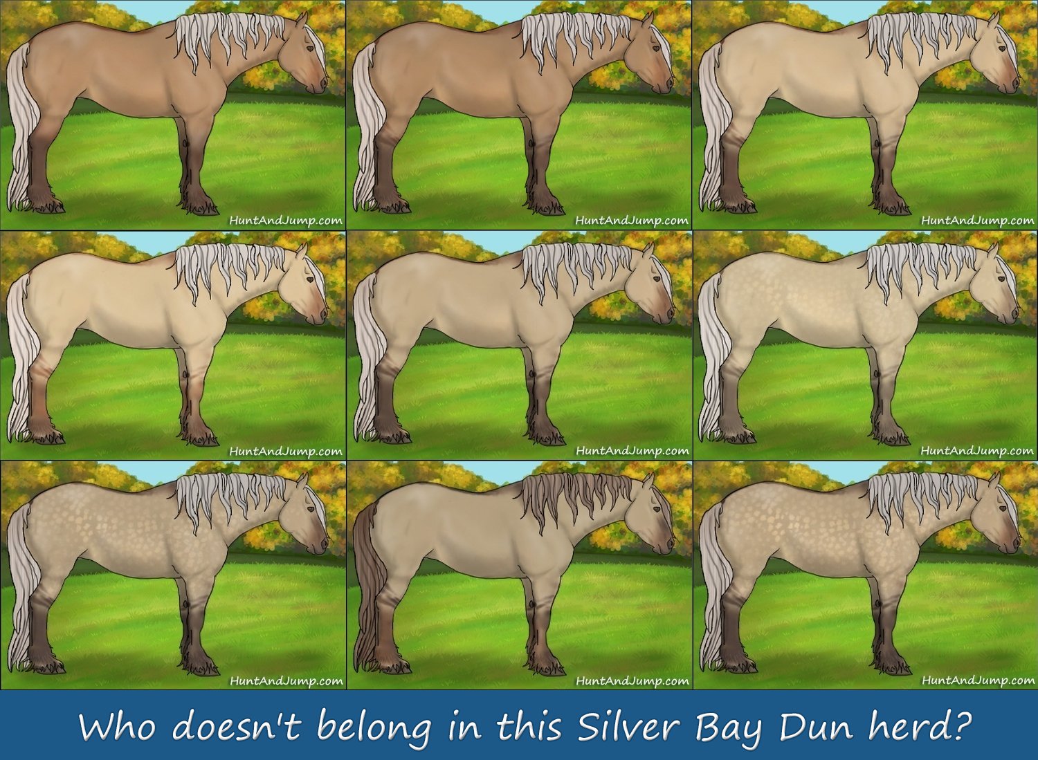 Bay Dun Horse