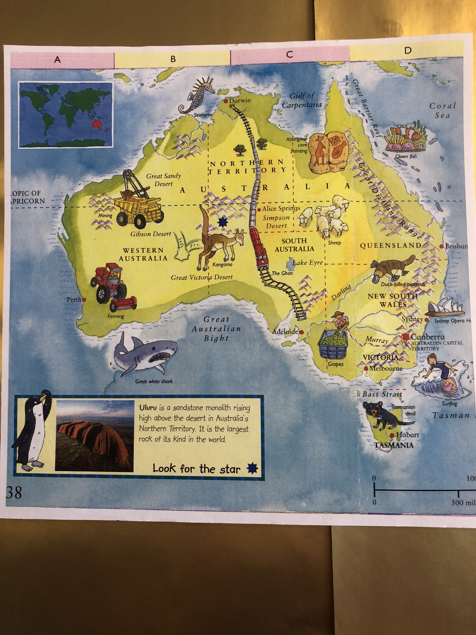 Elmwood School on Twitter: "Immersion activity: excited Year 1 children ...