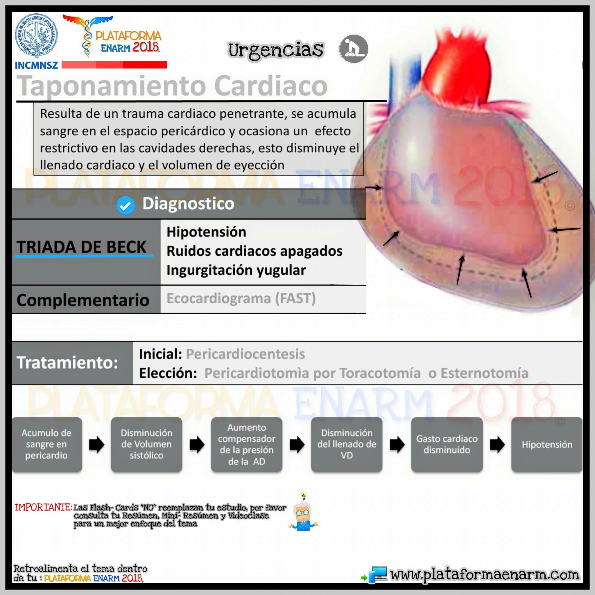 Diagrama De Taponamiento Cardiaco