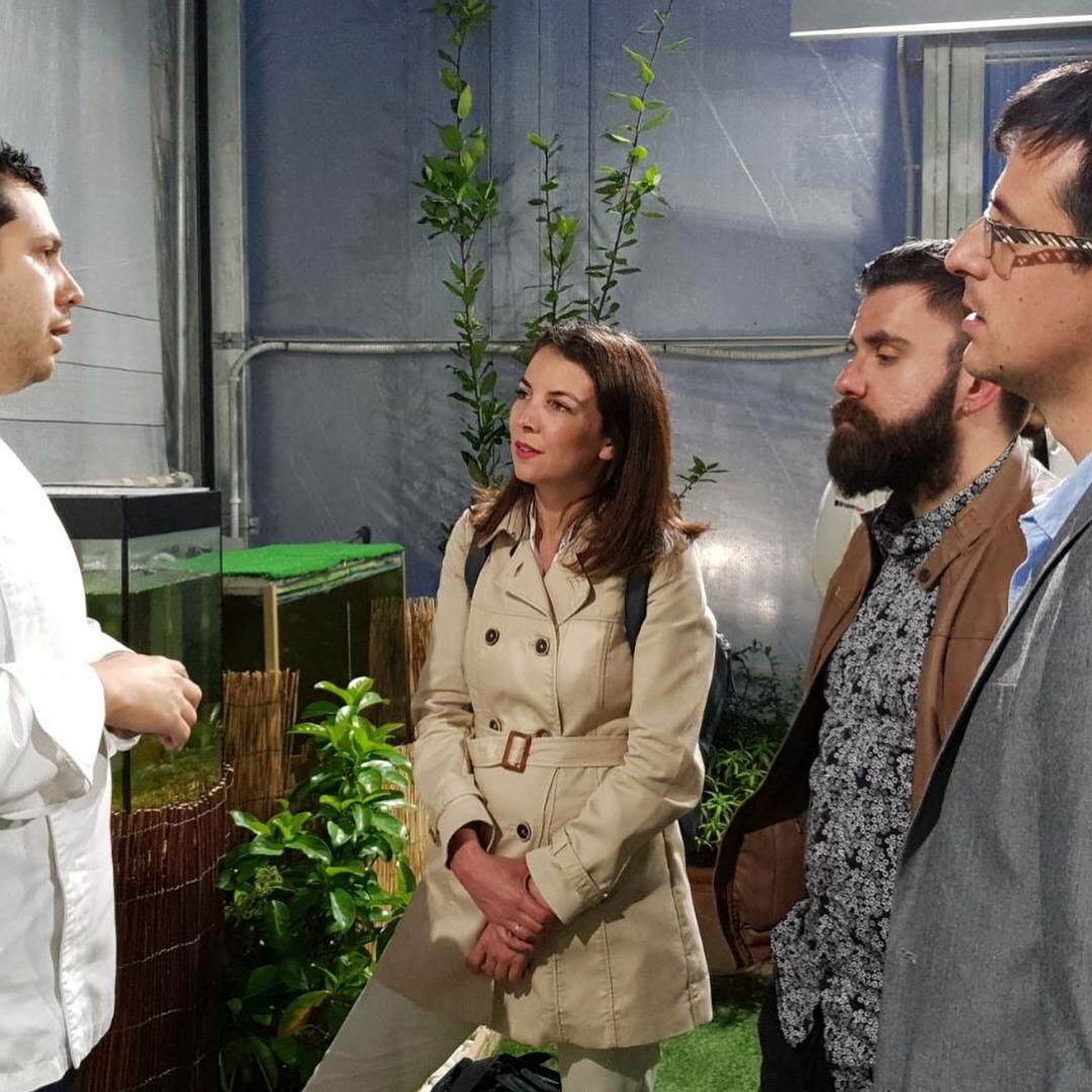 David Blanka (@DavidBlanka) | Twitter