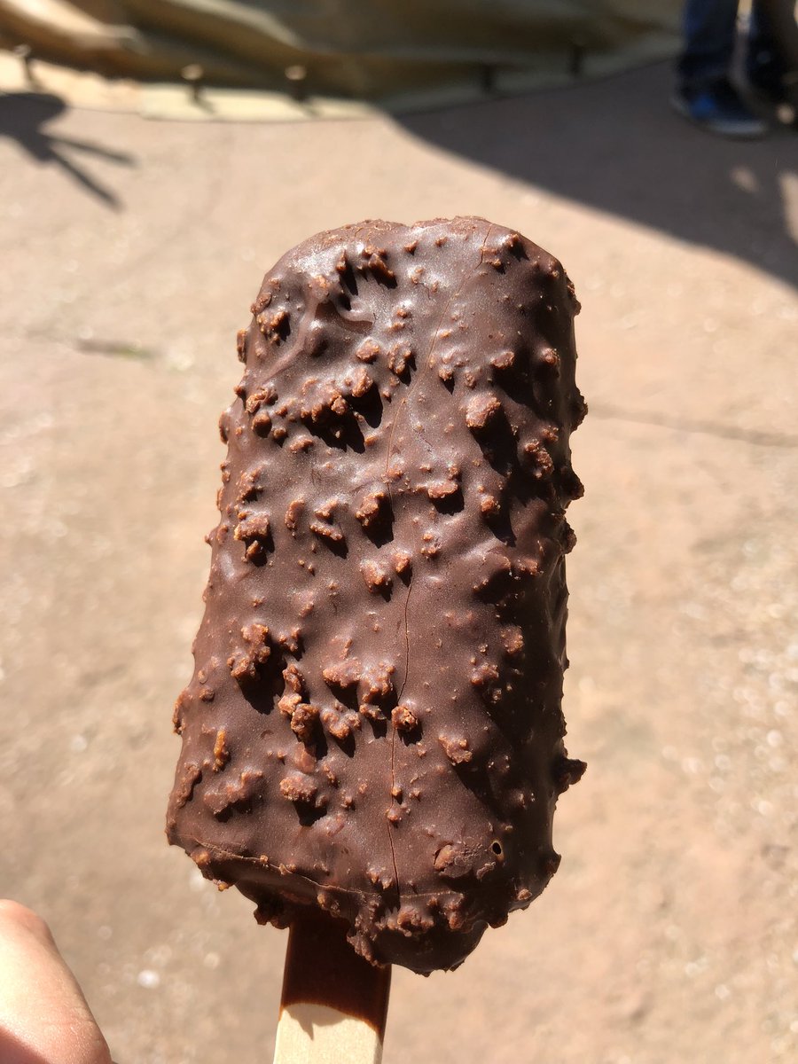 Nestle Crunch Ice Cream Bar