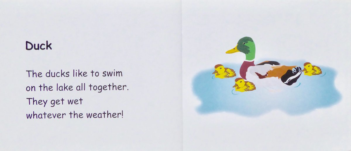 Duck Poems