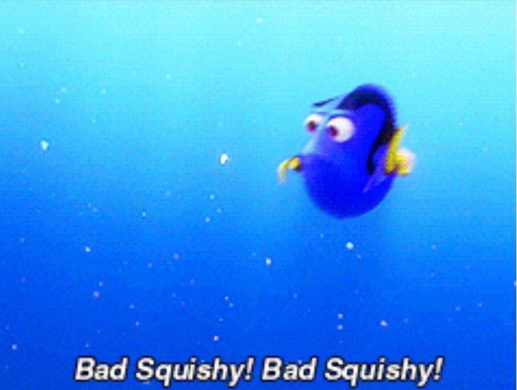 Dory And Bad Squishy