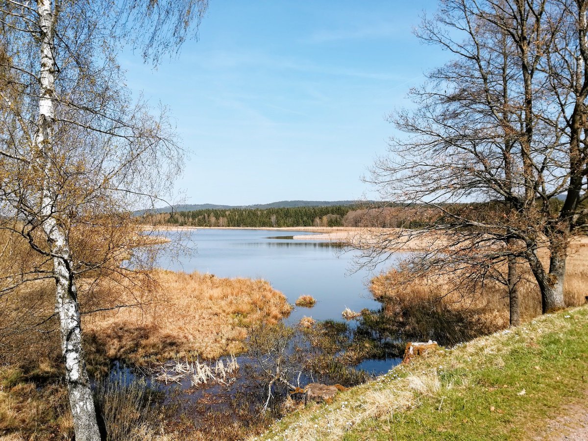 Libor Marek (@marek_libor) | Twitter