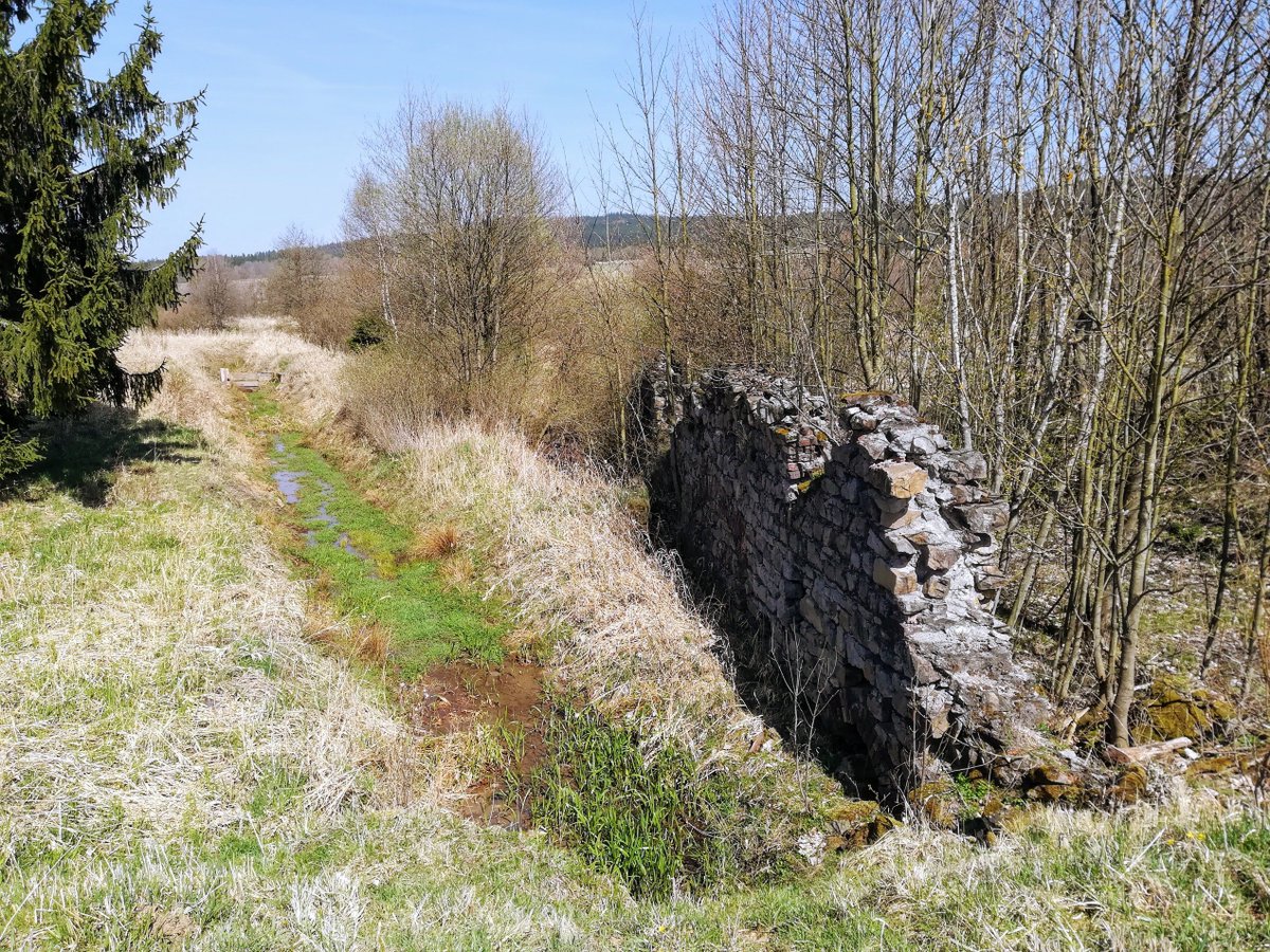 Libor Marek (@marek_libor) | Twitter