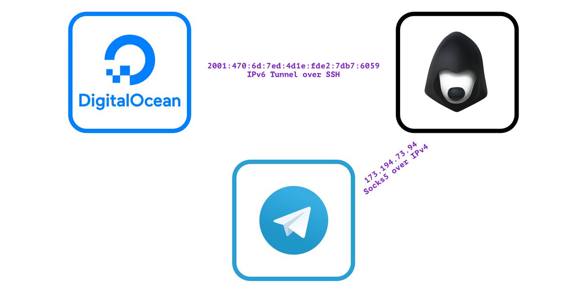 Nook Scheel (@nook_scheel) | Twitter