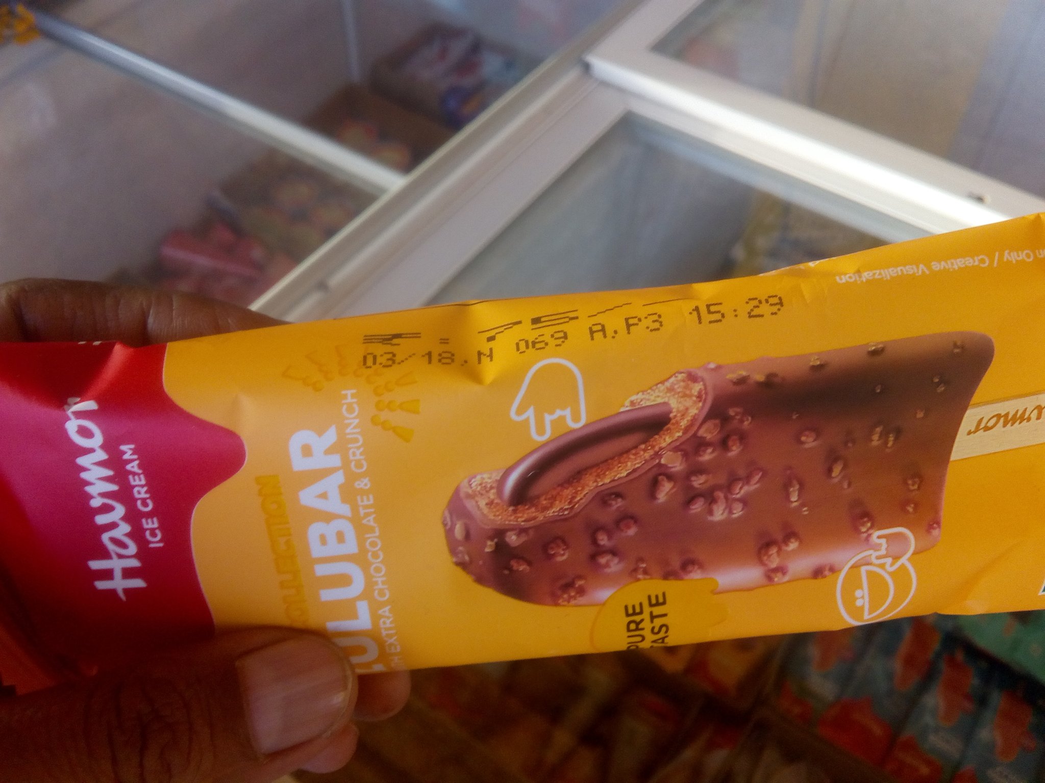 Havmor Ice Cream, Mini Choco Bar, 51% OFF | www.pinnaxis.com