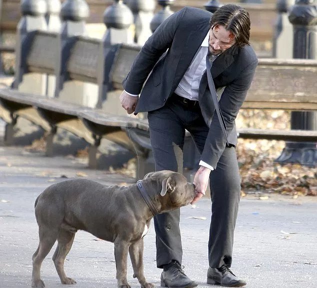 Does Keanu Reeves Like Dogs