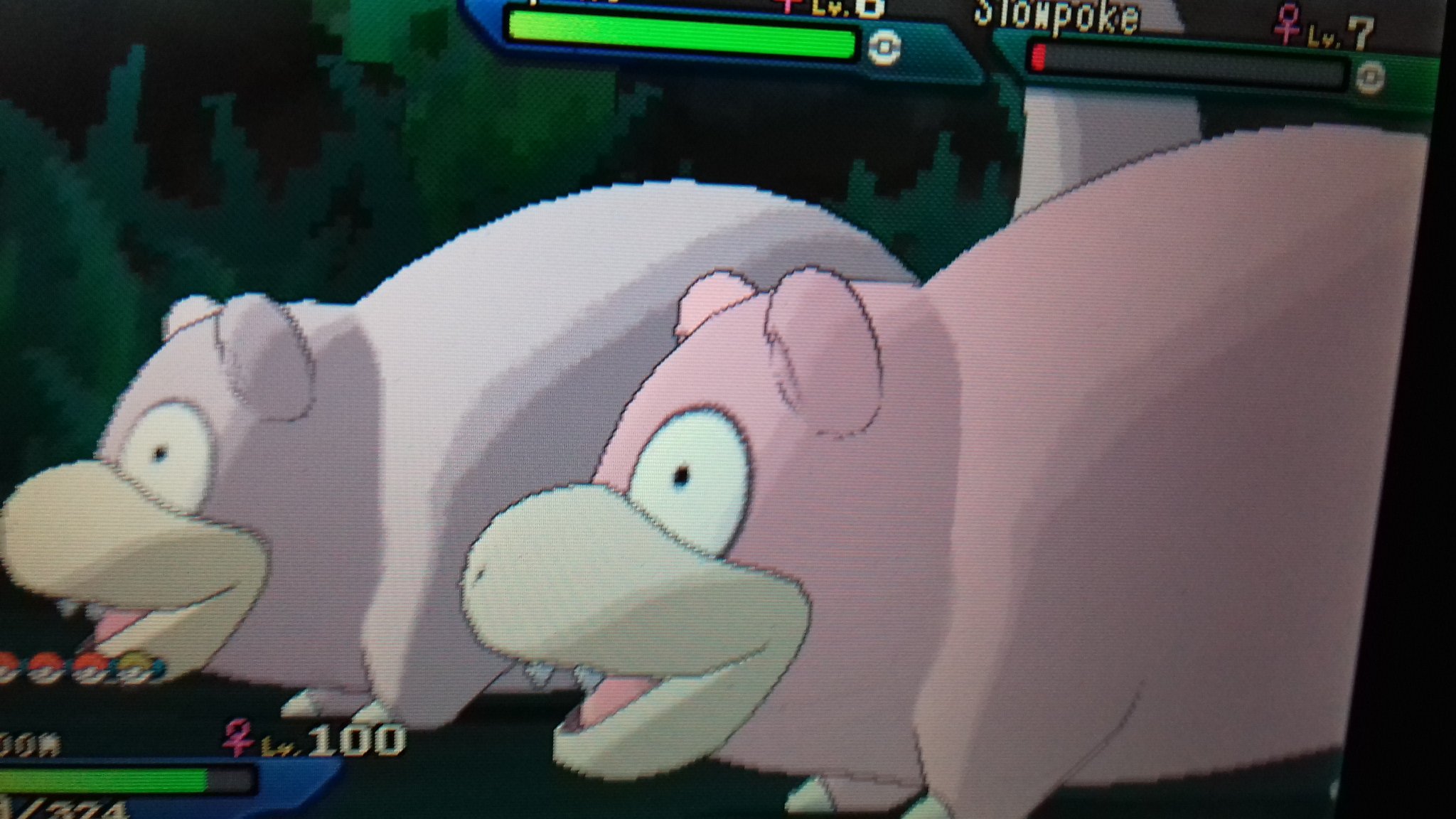Shiny Slowpoke