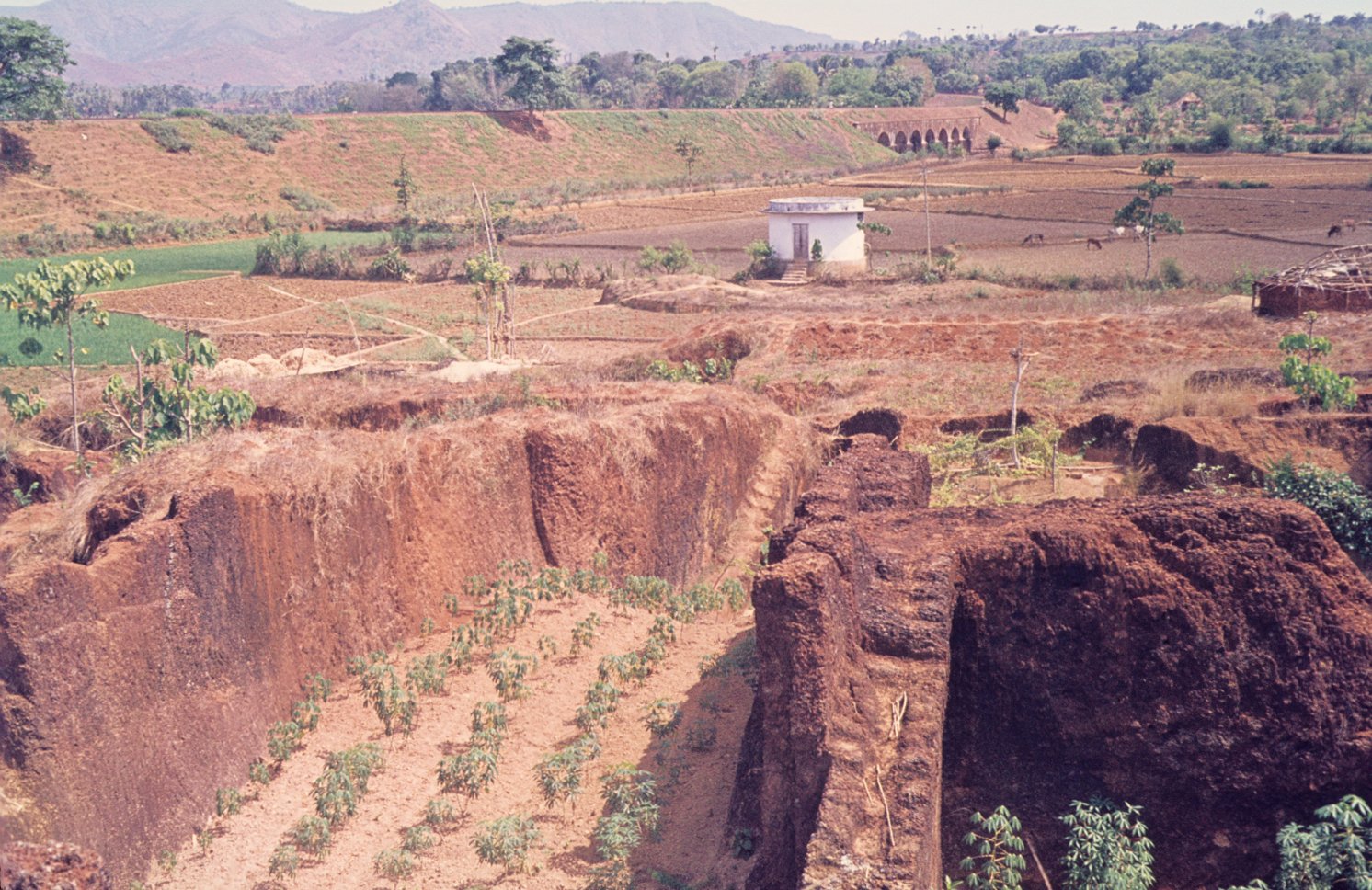 Laterite Soil In Kerala