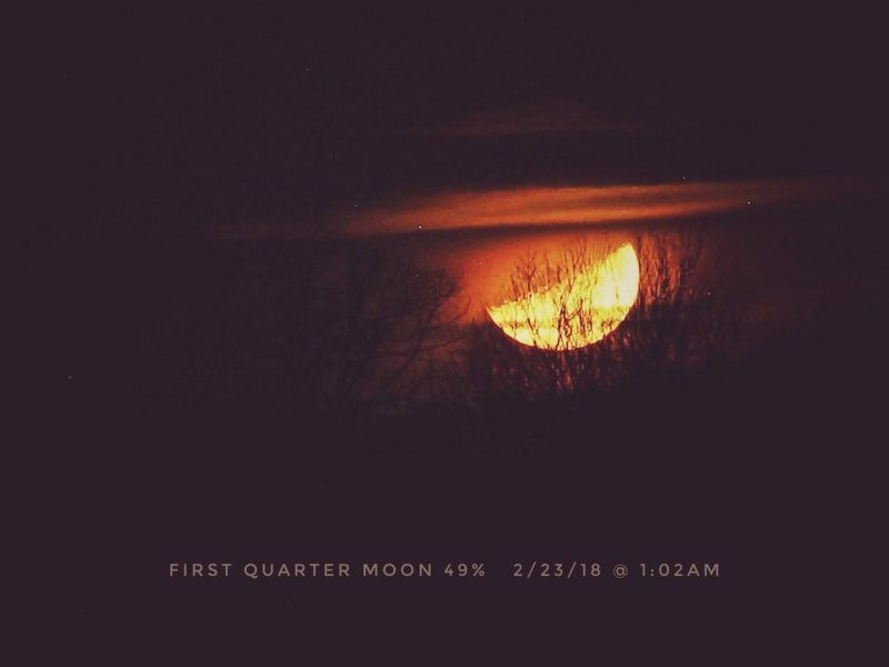 1 Quarter Moon