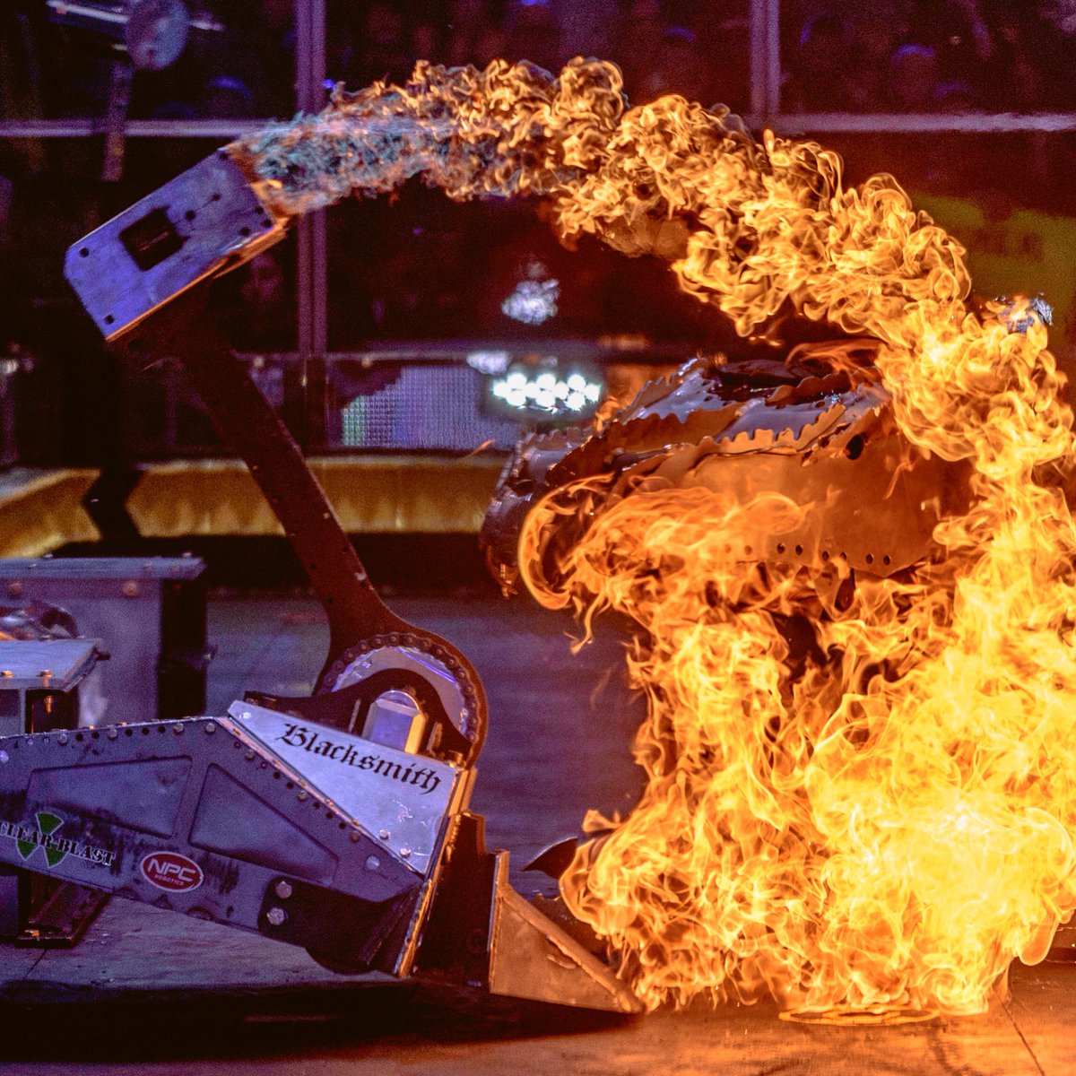 I'm quietly confident about Warheads chances of making the sweet 16 : r ...