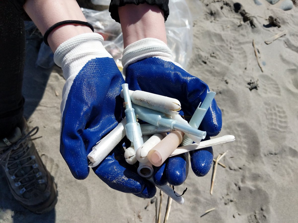 Trash washing up on the beach - Massachusetts Fishing - SurfTalk