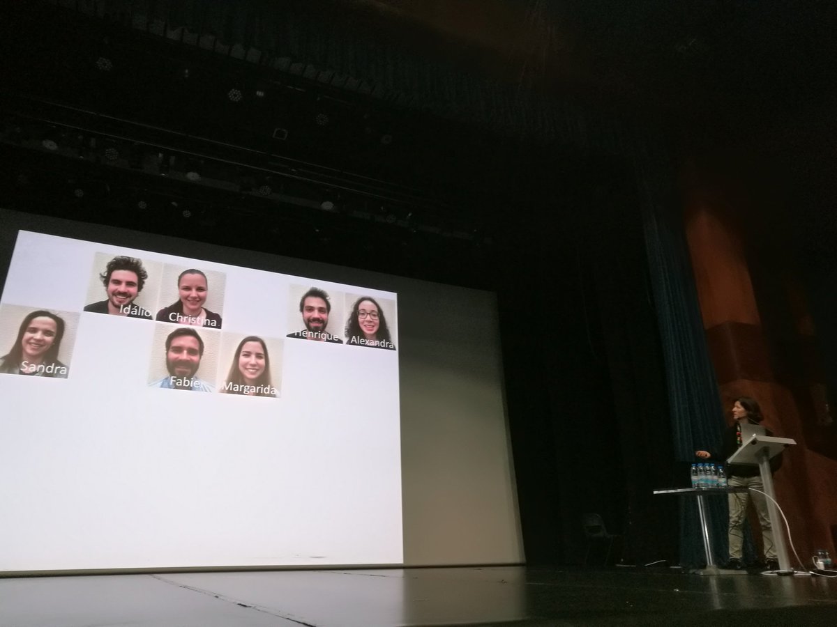 dosorio (@osorio_ds) | Twitter