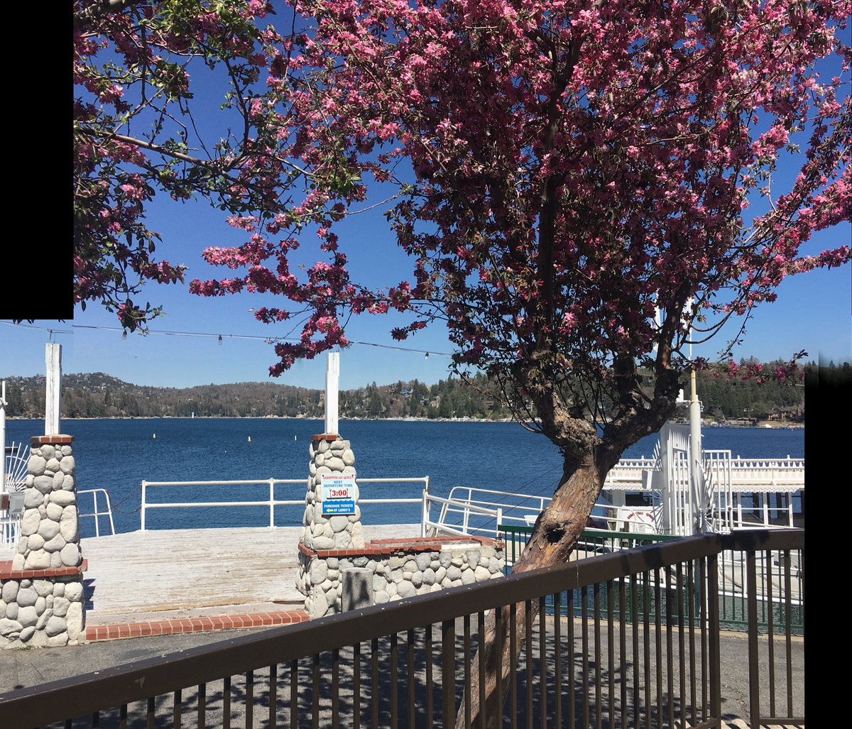 Mark Halstead (@MarkHalstead65) | Twitter